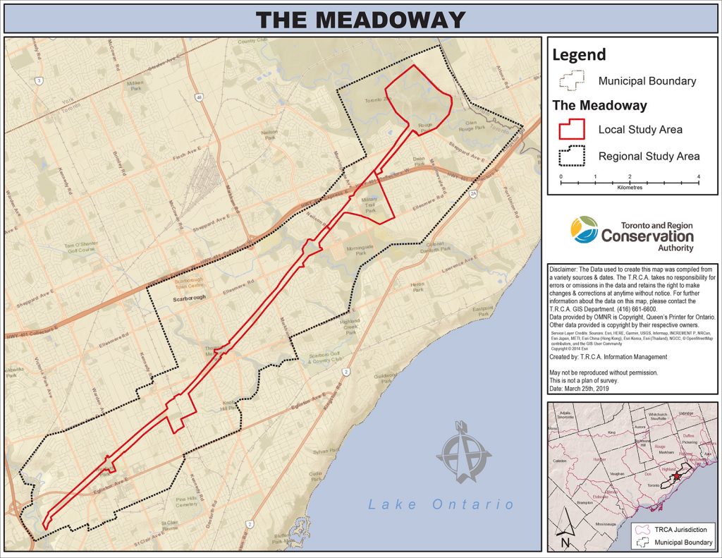 Trail Concept | The Meadoway