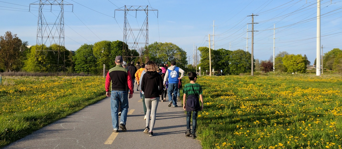 Meadow Restoration - The Meadoway