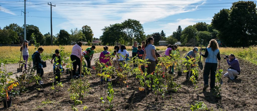 Project History | The Meadoway