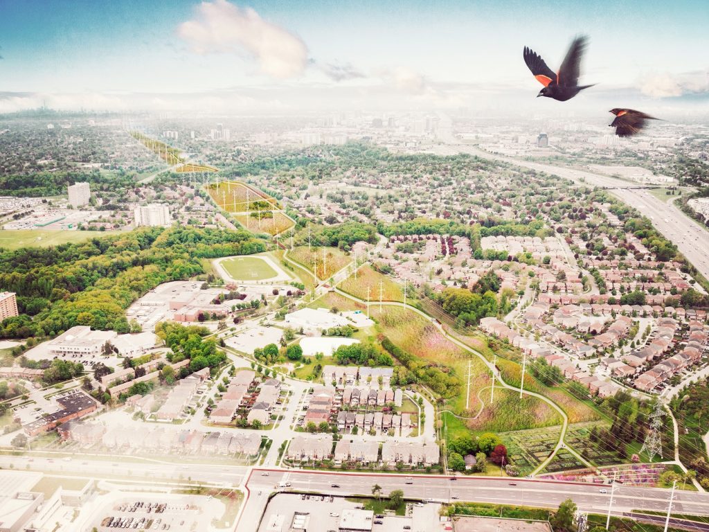 Visualization Toolkit | The Meadoway