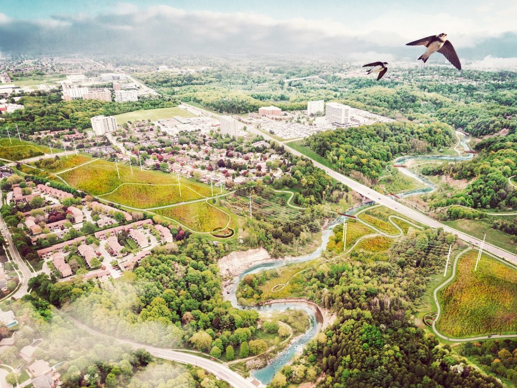 Visualization Toolkit | The Meadoway