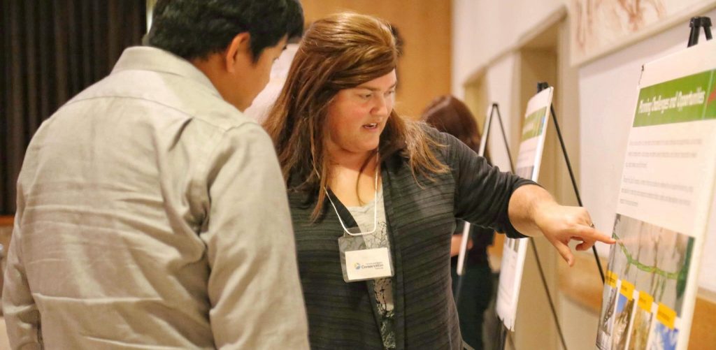 Project History - The Meadoway