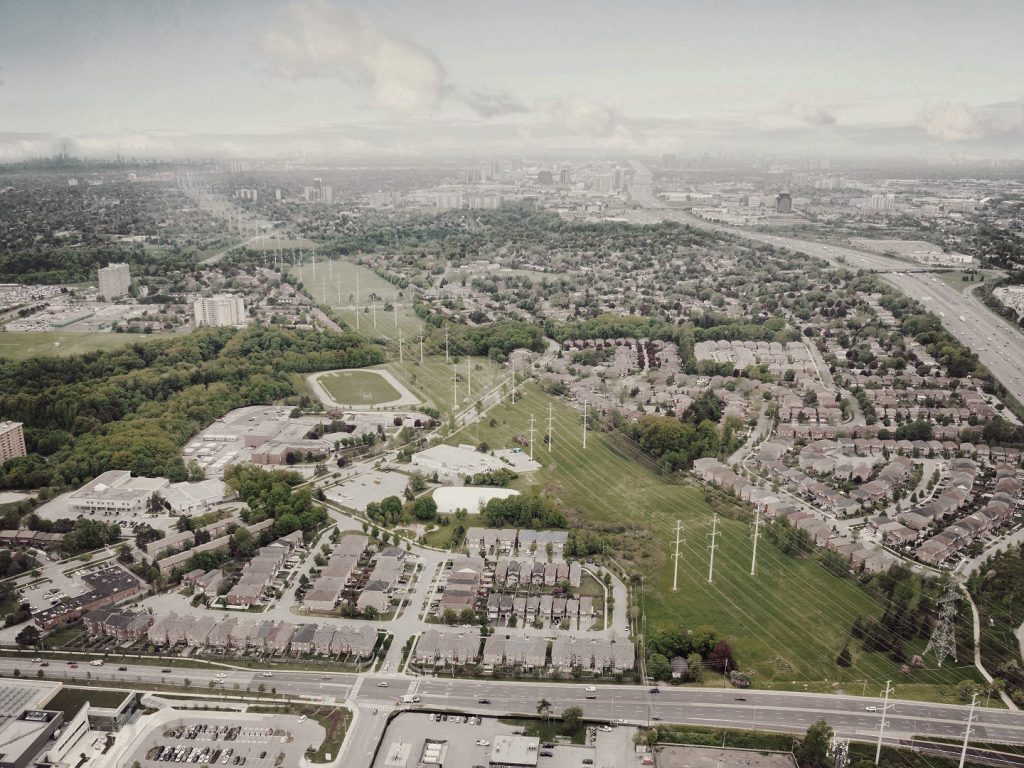 Visualization Toolkit | The Meadoway