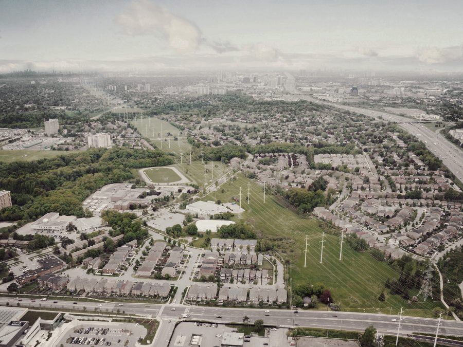 Visualization Toolkit | The Meadoway