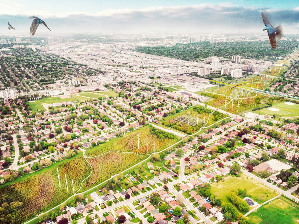 Visualization Toolkit | The Meadoway