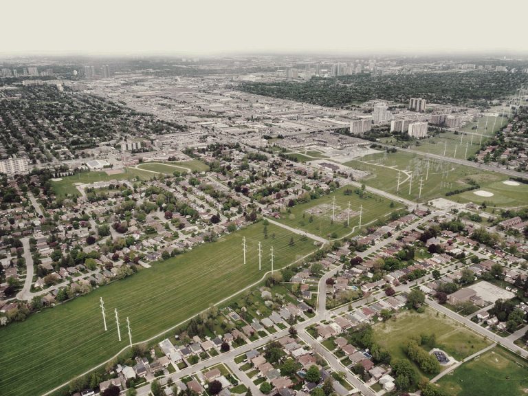 Visualization Toolkit | The Meadoway