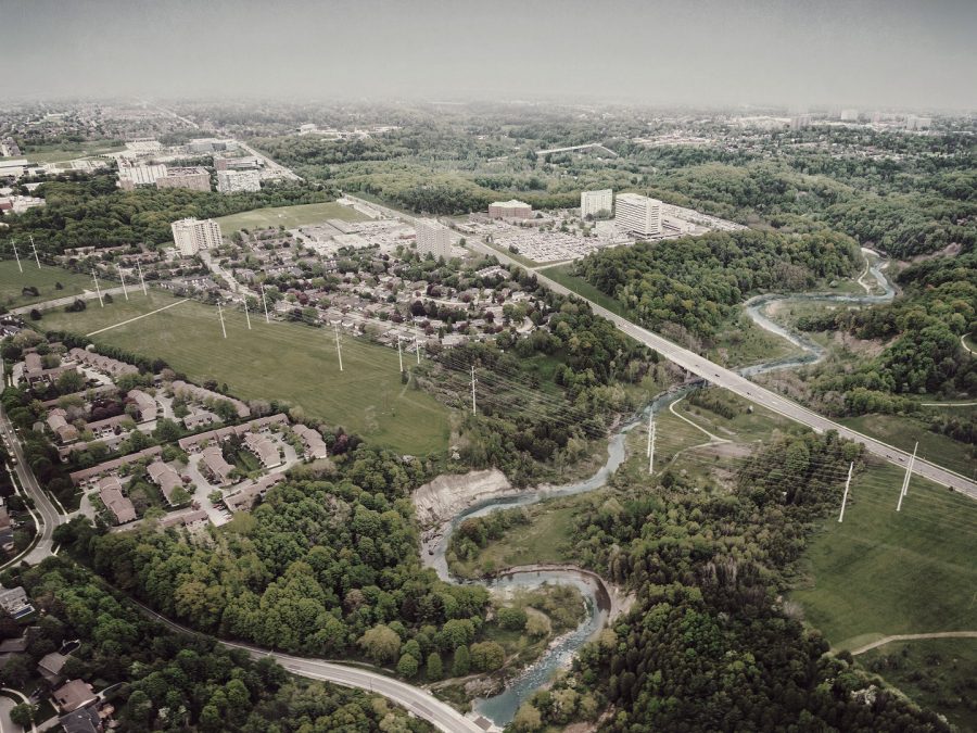 Visualization Toolkit | The Meadoway