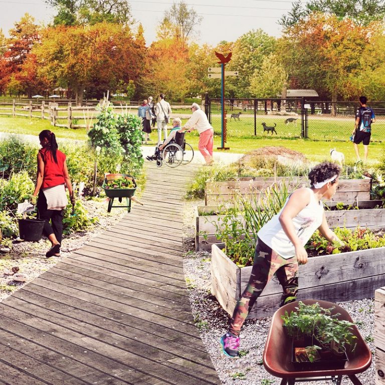 Visualization Toolkit | The Meadoway