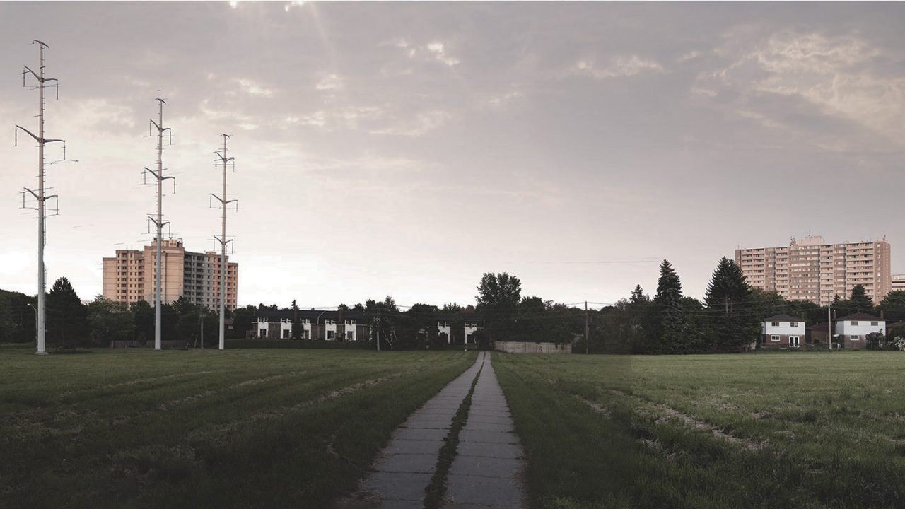 Visualization Toolkit | The Meadoway