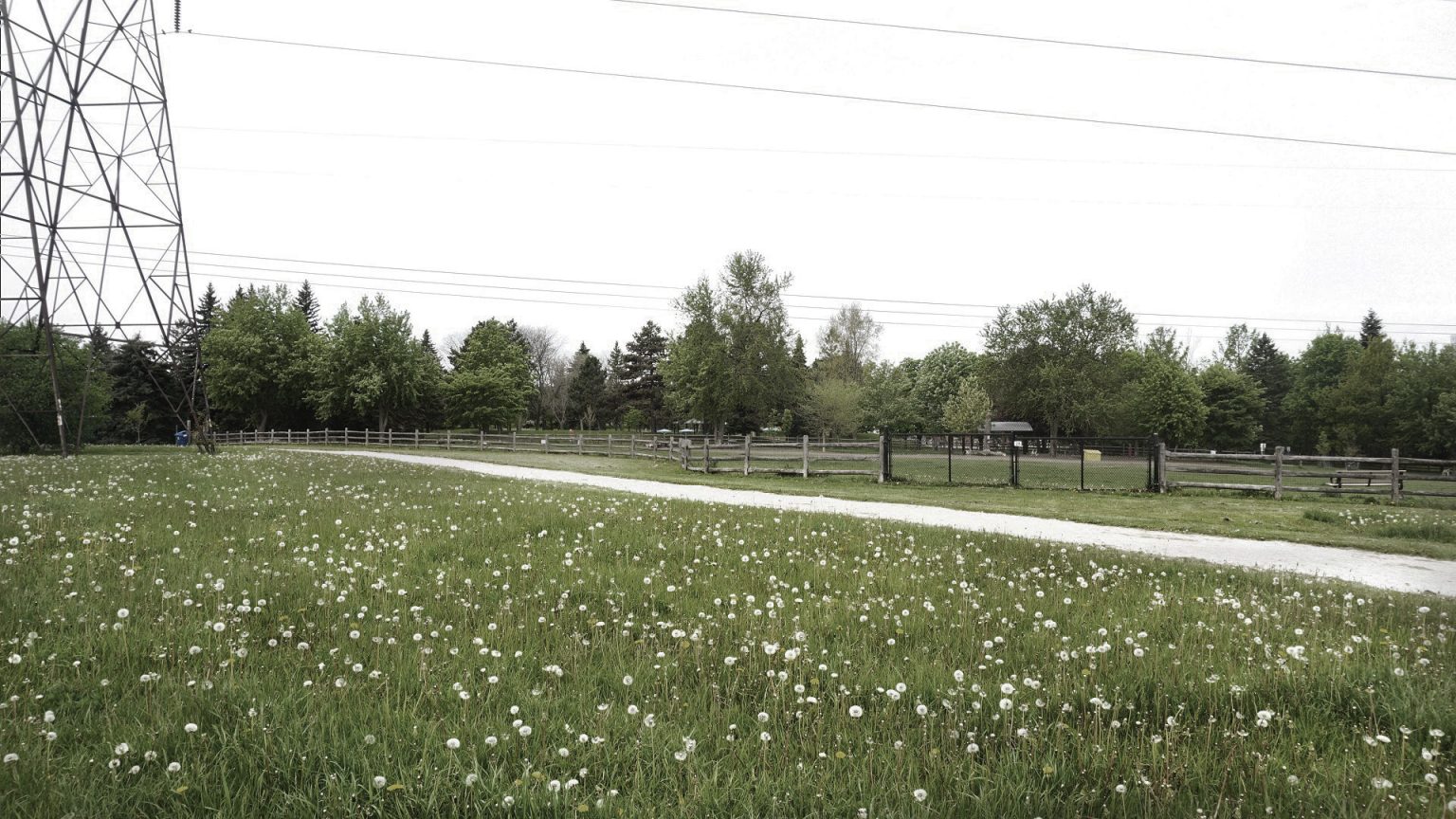 Visualization Toolkit | The Meadoway