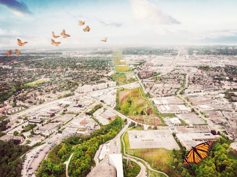 Visualization Toolkit | The Meadoway