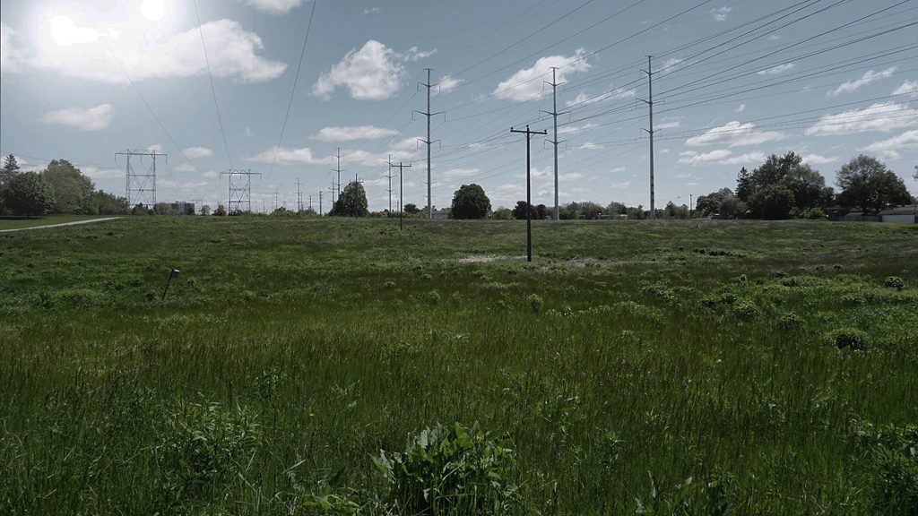 Visualization Toolkit | The Meadoway