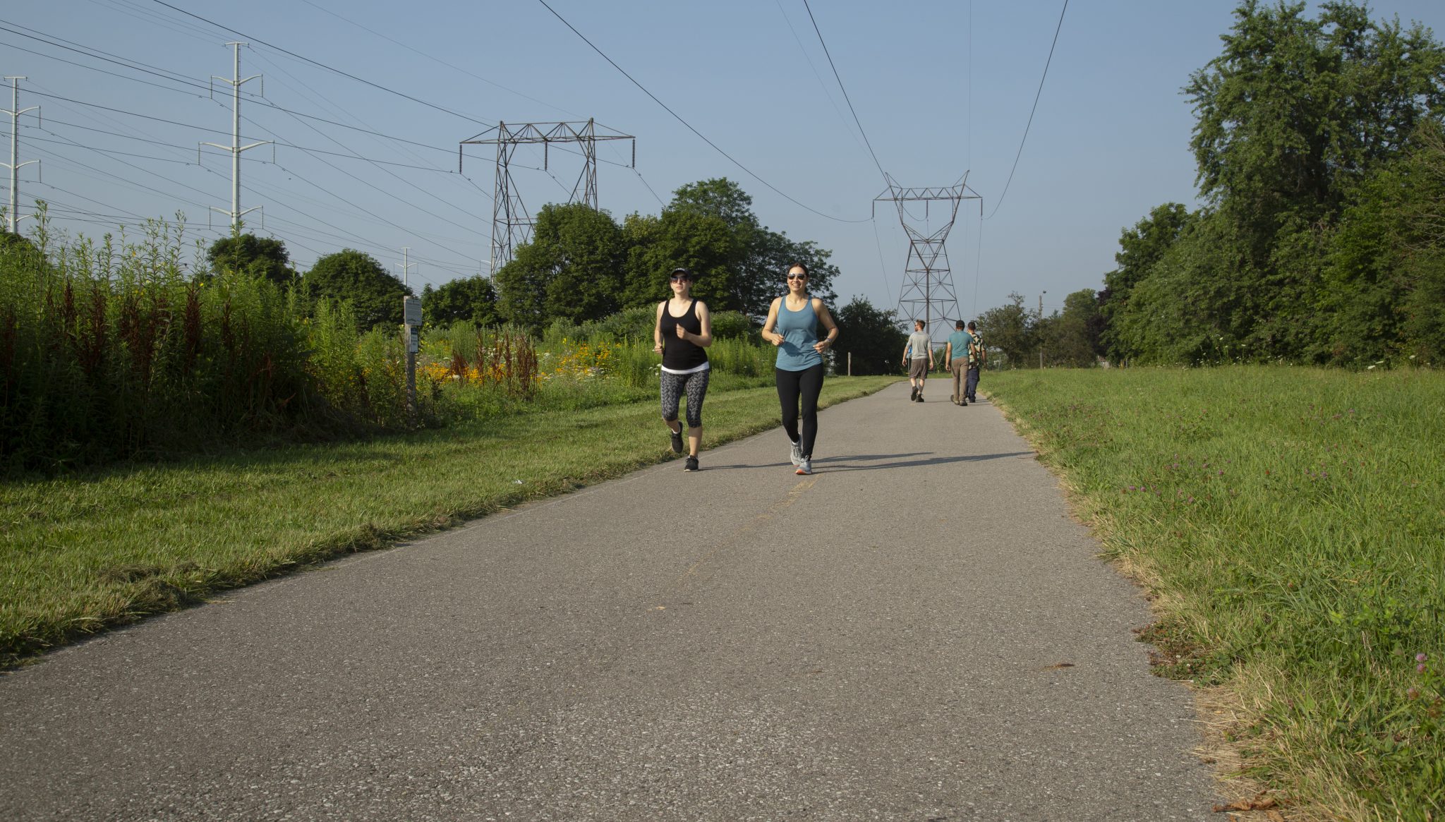 Trail Concept | The Meadoway