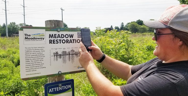 Trail Building and Meadow Restoration Updates - The Meadoway