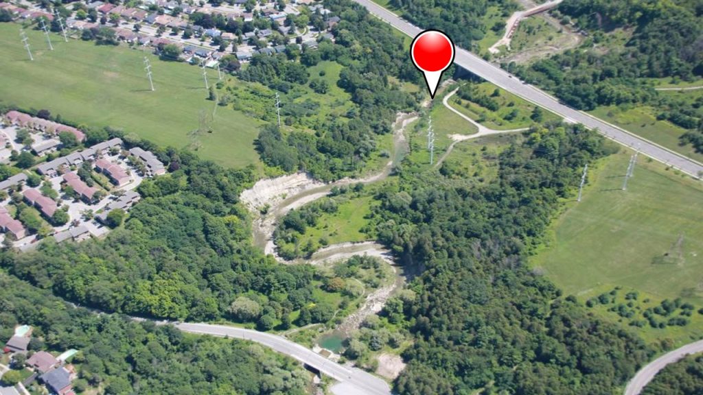 An Emerging Vision | The Meadoway