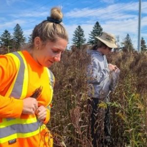 Trail Building and Meadow Restoration Updates | The Meadoway