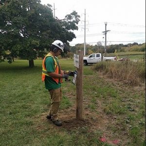 Trail Building and Meadow Restoration Updates - The Meadoway