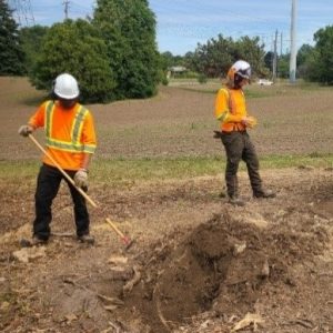 Trail Building and Meadow Restoration Updates - The Meadoway