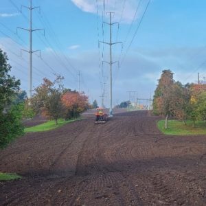 Trail Building and Meadow Restoration Updates - The Meadoway