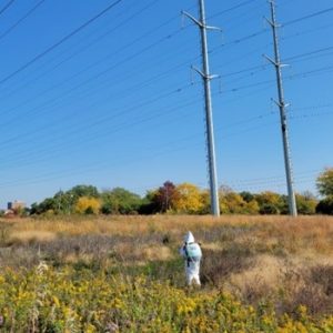 Trail Building and Meadow Restoration Updates - The Meadoway