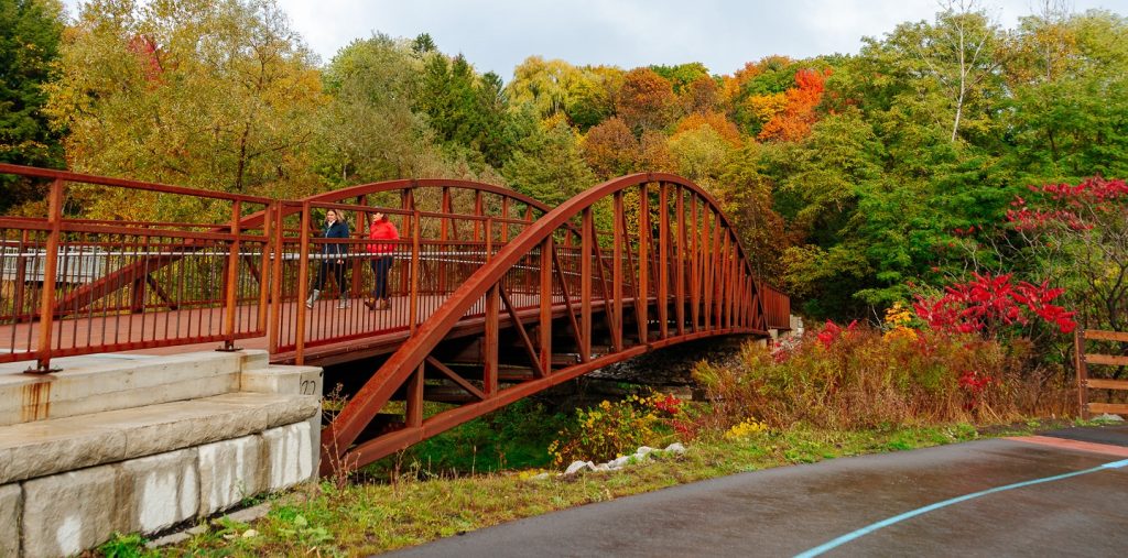 Trail Building and Meadow Restoration Updates | The Meadoway