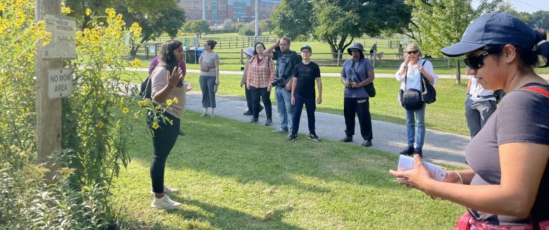Trail Building and Meadow Restoration Updates | The Meadoway