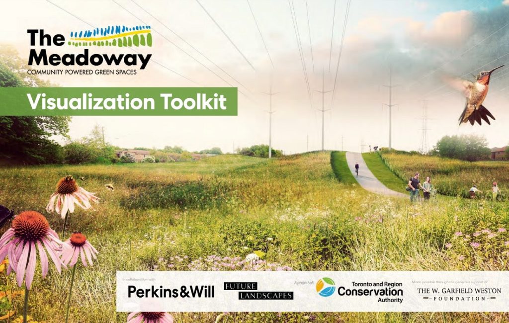 Visualization Toolkit | The Meadoway