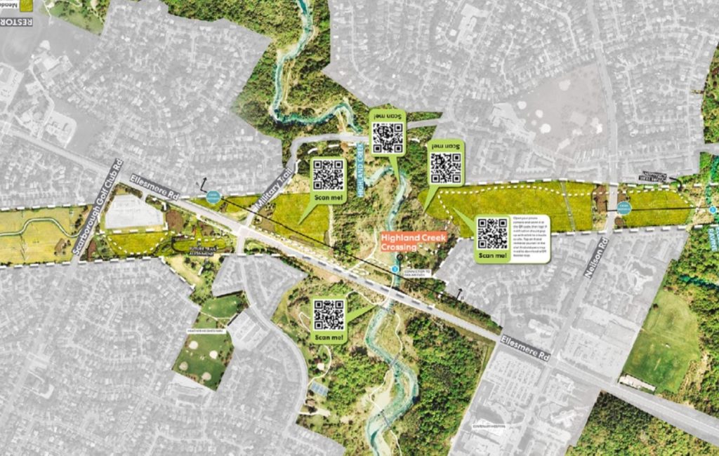 Visualization Toolkit | The Meadoway